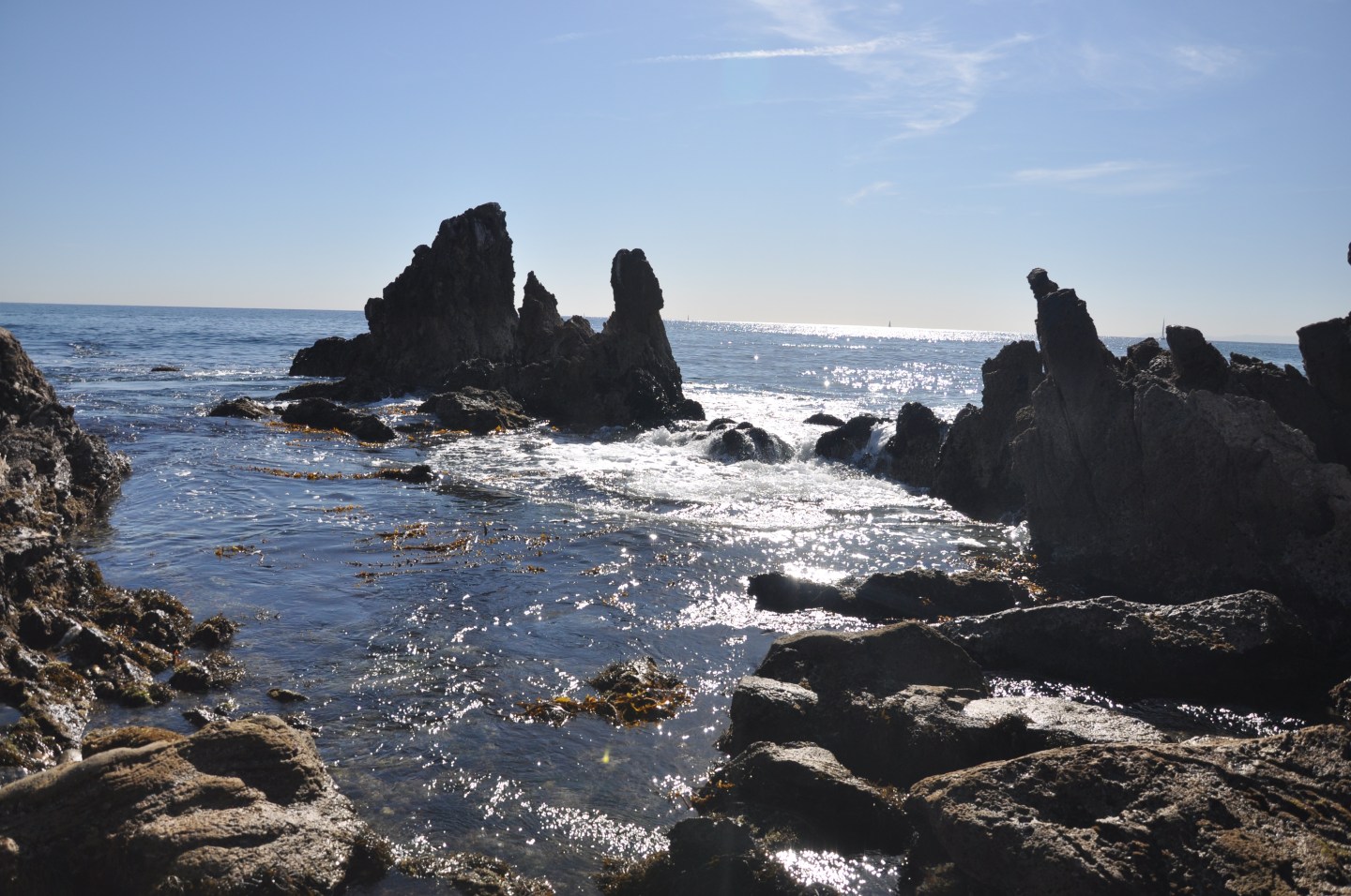 Tidal Zones Explained: Splash, Intertidal, and Sub-tidal Zones – The ...