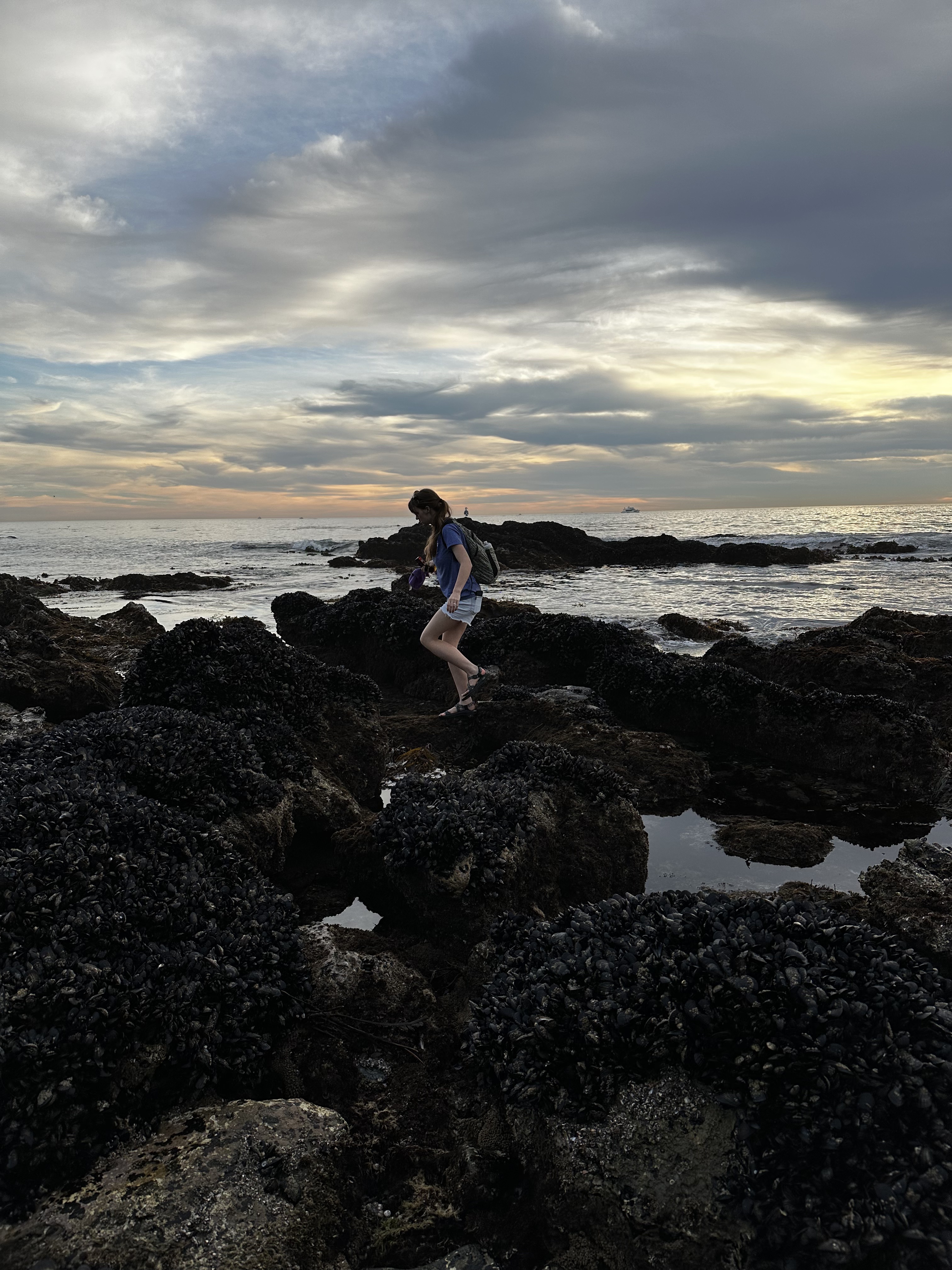 Tide Pooling at Night—The Complete Guide – The Tide Is Out
