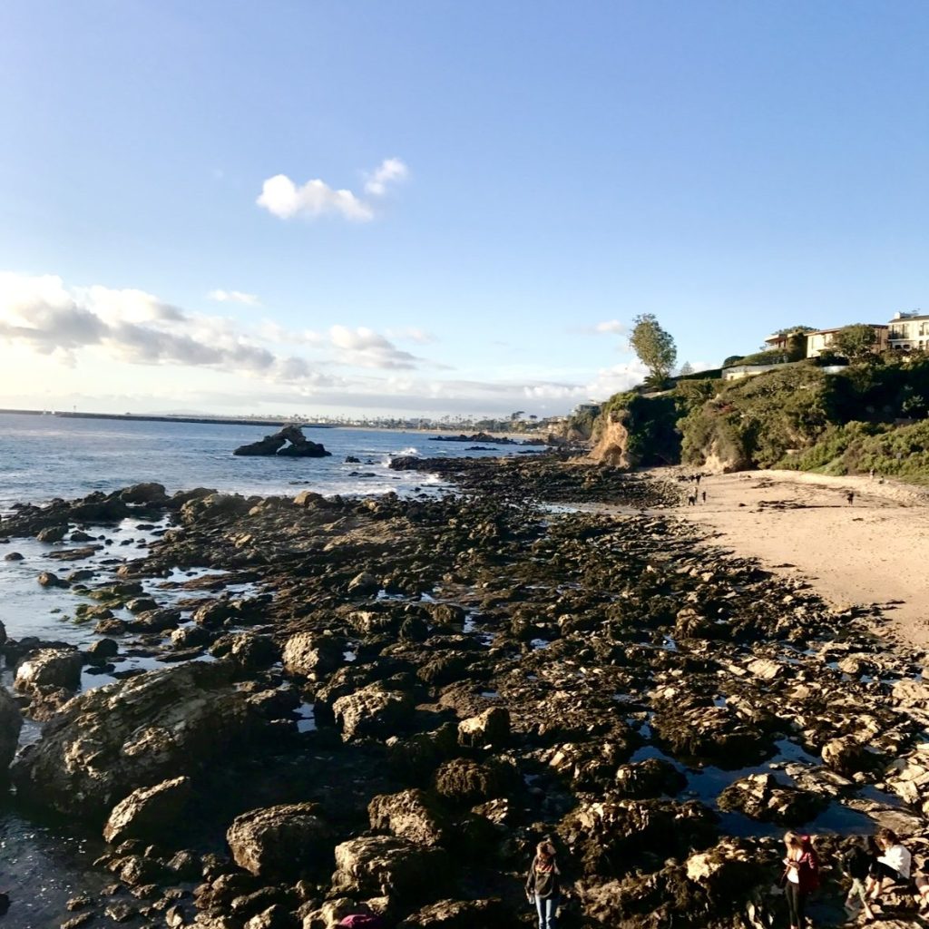 Tidal Zones Explained: Splash, Intertidal, and Sub-tidal Zones – The Tide Is Out