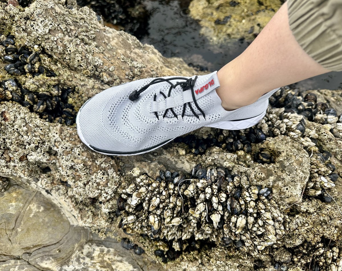 What Shoes Should You Wear to the Tide Pools? – The Tide Is Out