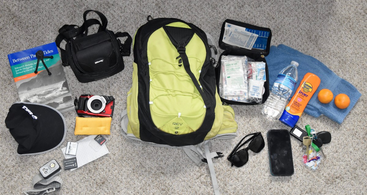 What’s In My Tide Pooling Bag? 10 Tide Pooling Essentials – The Tide Is Out