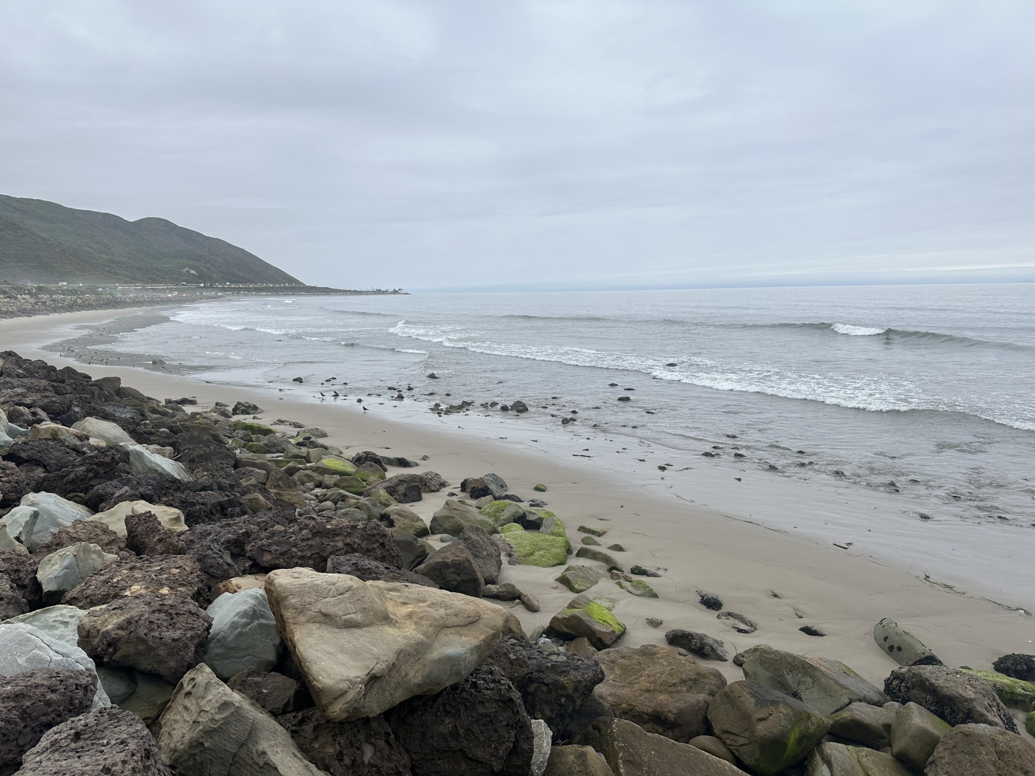 Tide Pools 101 – The Tide Is Out