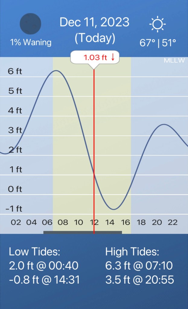 How Are Tides Measured and What Do The Numbers Mean? – The Tide Is Out