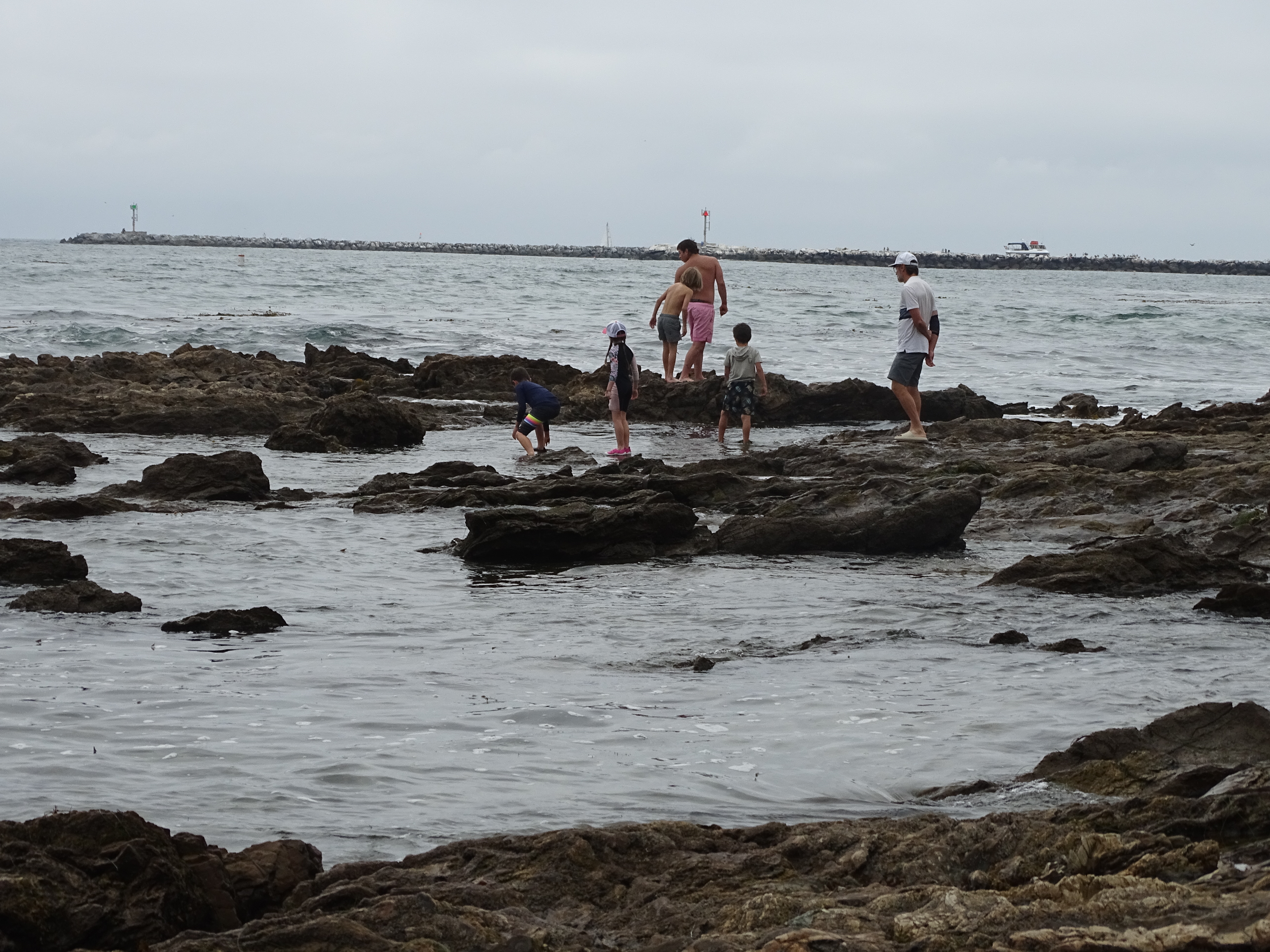 Tide Pools 101 The Tide Is Out Tide Pools 101 The Tide Is Out